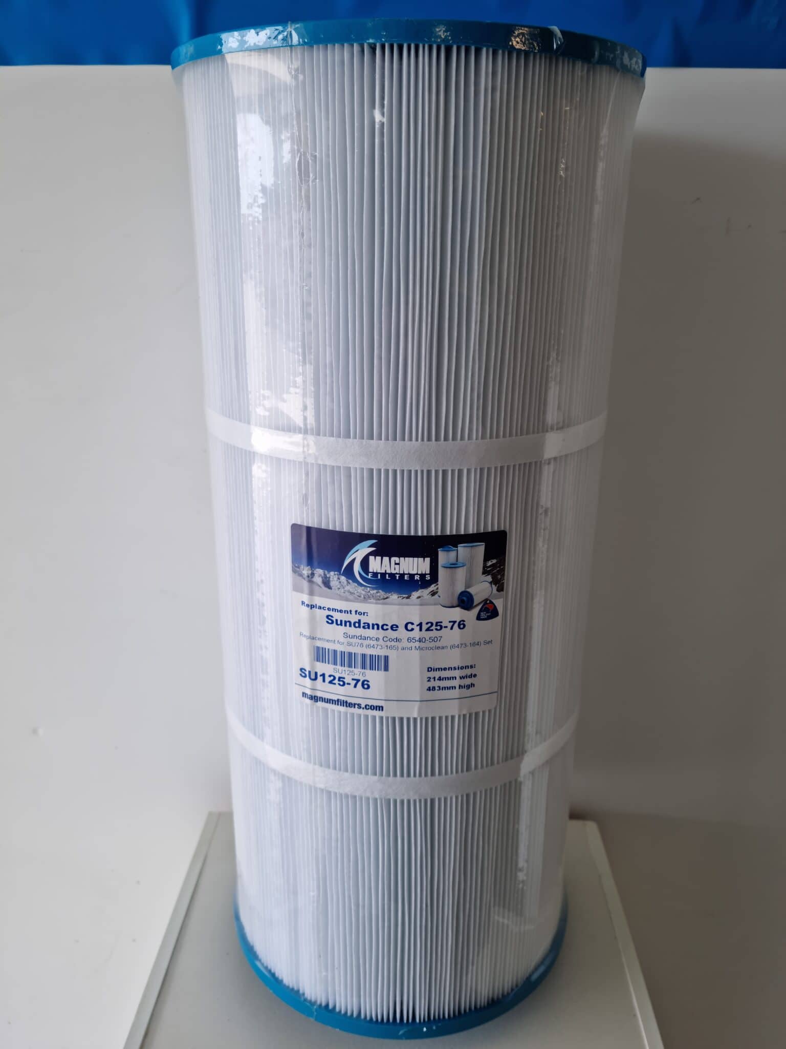 Sundance C125 Filter (not blocked off) - Pool and Pump World | Ashburton